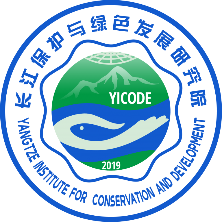 Guidelines for using our Logo – YICODE